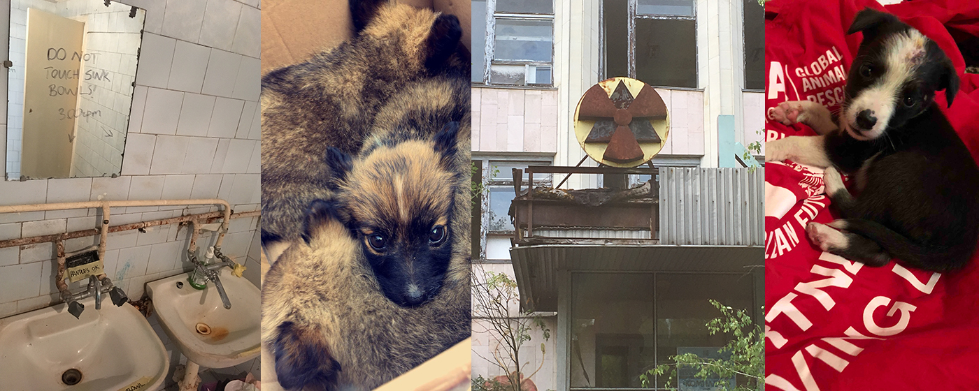 Chernobyl: chasing a ‘catching’ cancer - Wellcome Sanger Institute Blog