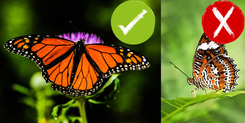 Getting smart about artificial intelligence - Wellcome Sanger Institute ...