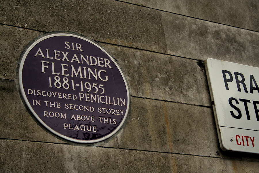 Breaking the mould – the story of penicillin - Wellcome Sanger ...