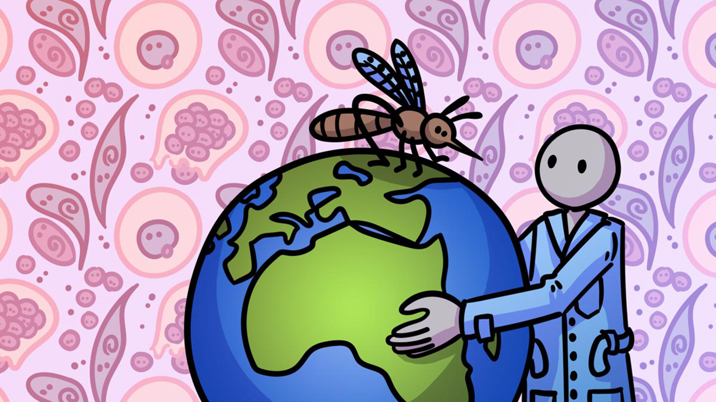 Malaria Cell Atlas: mapping a murderous parasite's life cycle - Wellcome Sanger Institute Blog