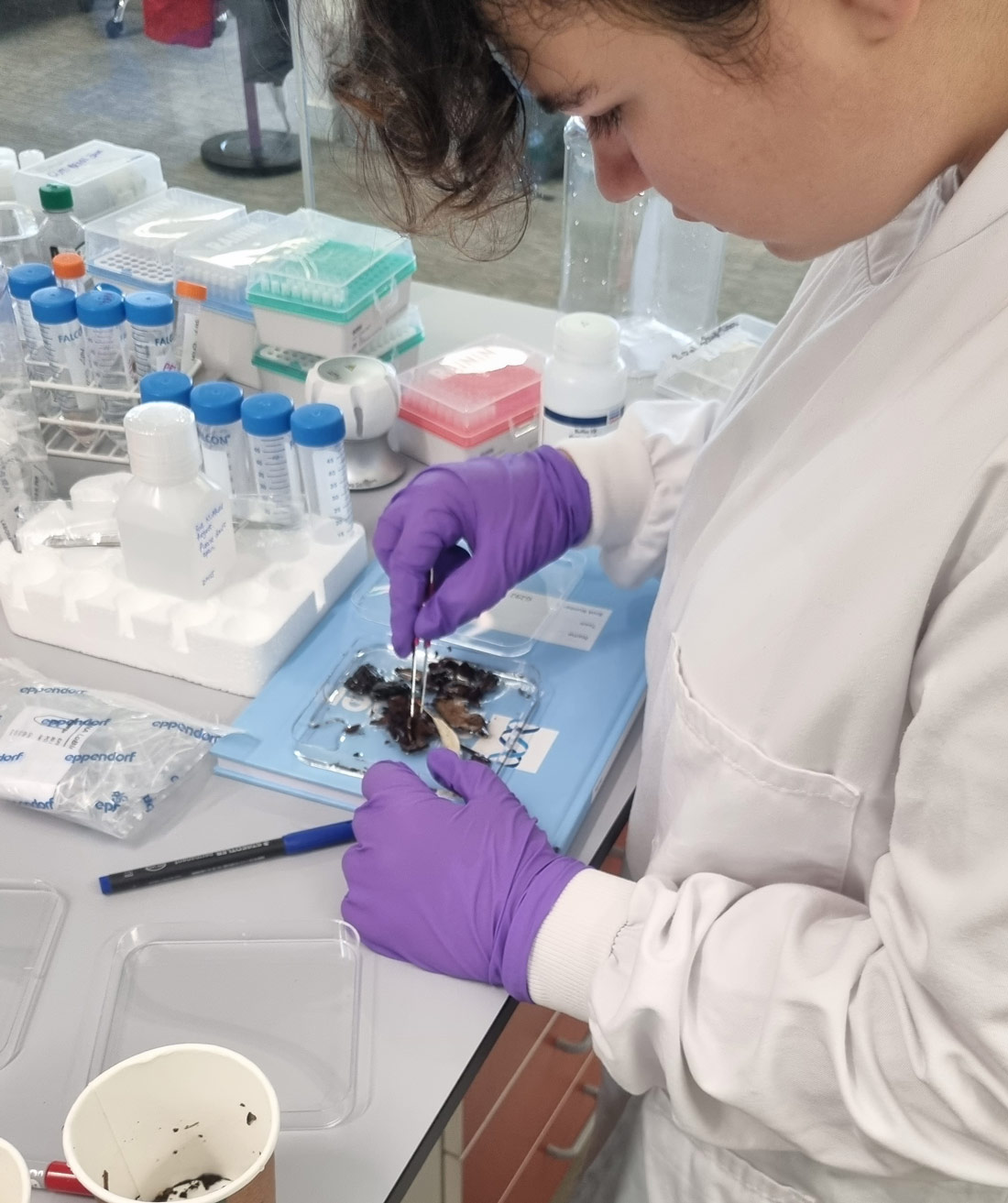 Experiencing Sanger's science first hand - Wellcome Sanger Institute Blog