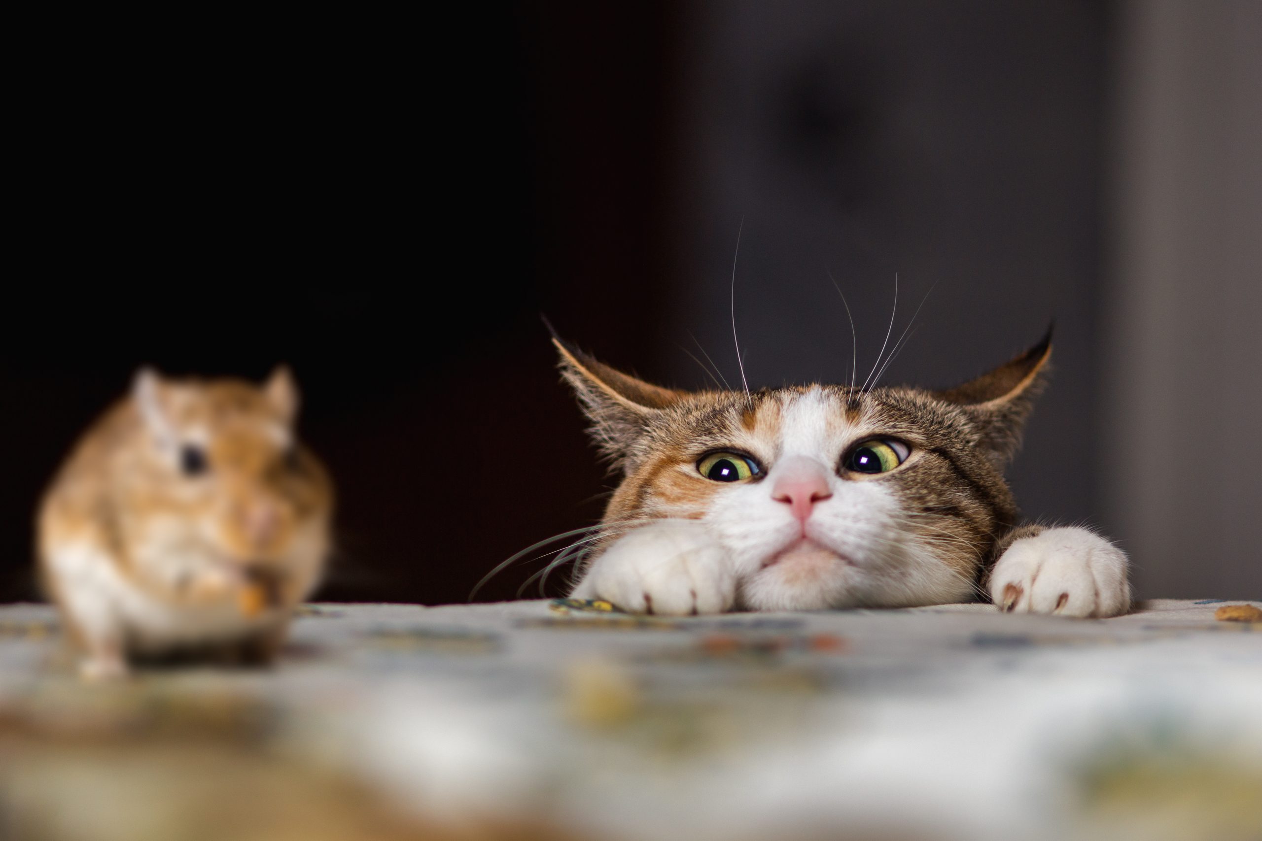 Three mind-blowing examples of parasites that hijack their hosts ...