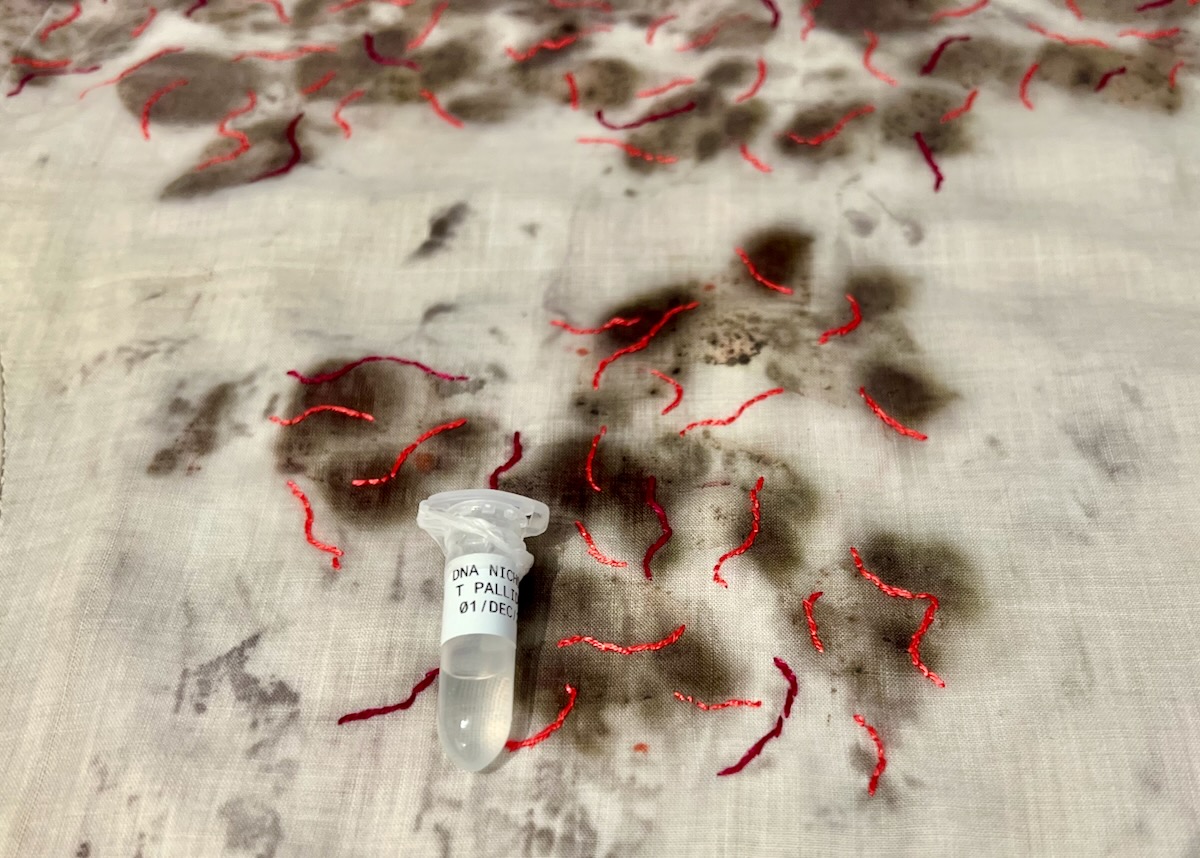 Cholera and syphilis captured in BioArt - Wellcome Sanger Institute Blog