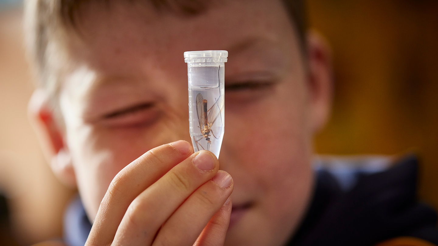 Tree of life - Wellcome Sanger Institute Blog