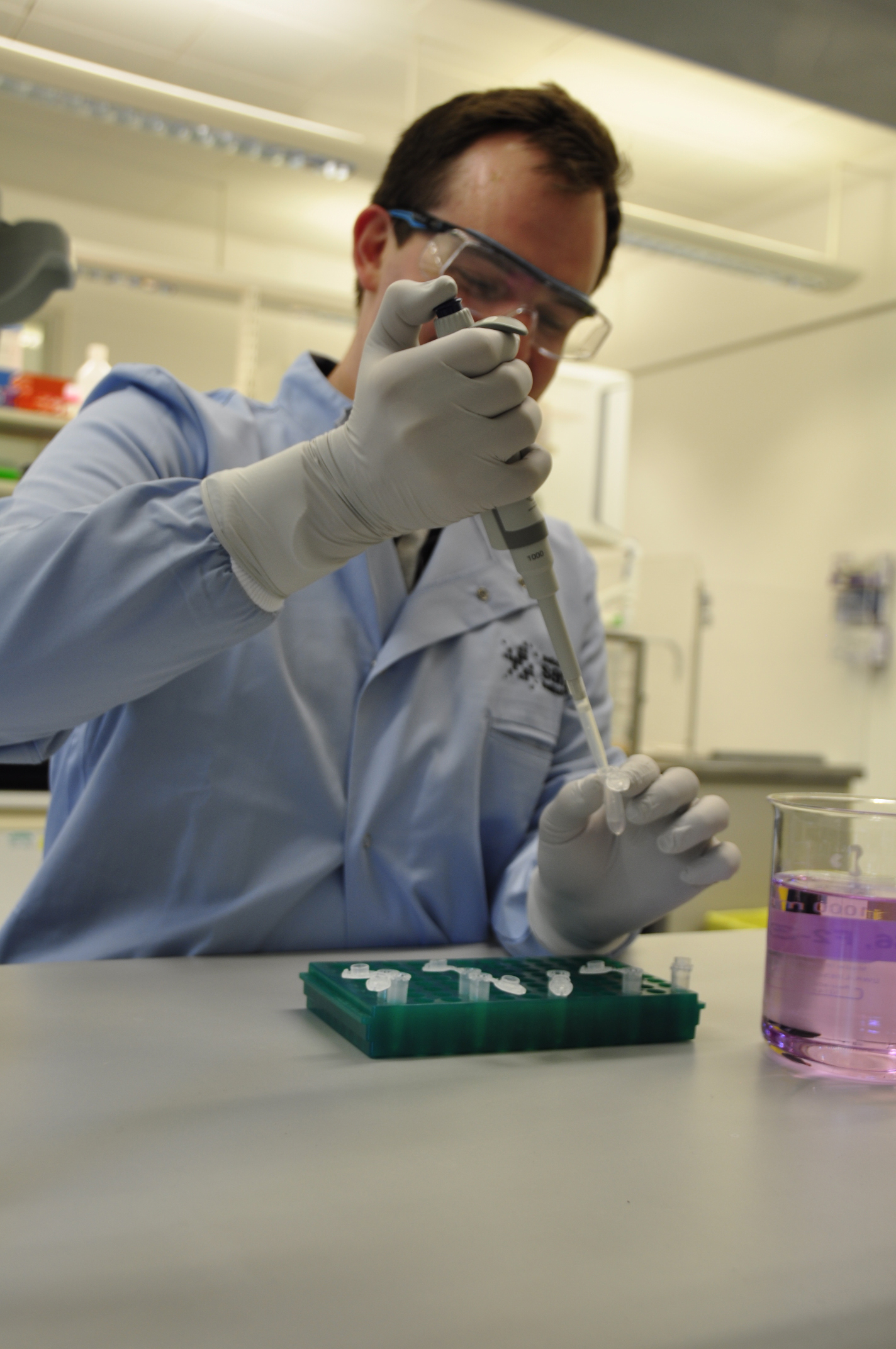 Behind the Heart Cell Atlas - Wellcome Sanger Institute Blog