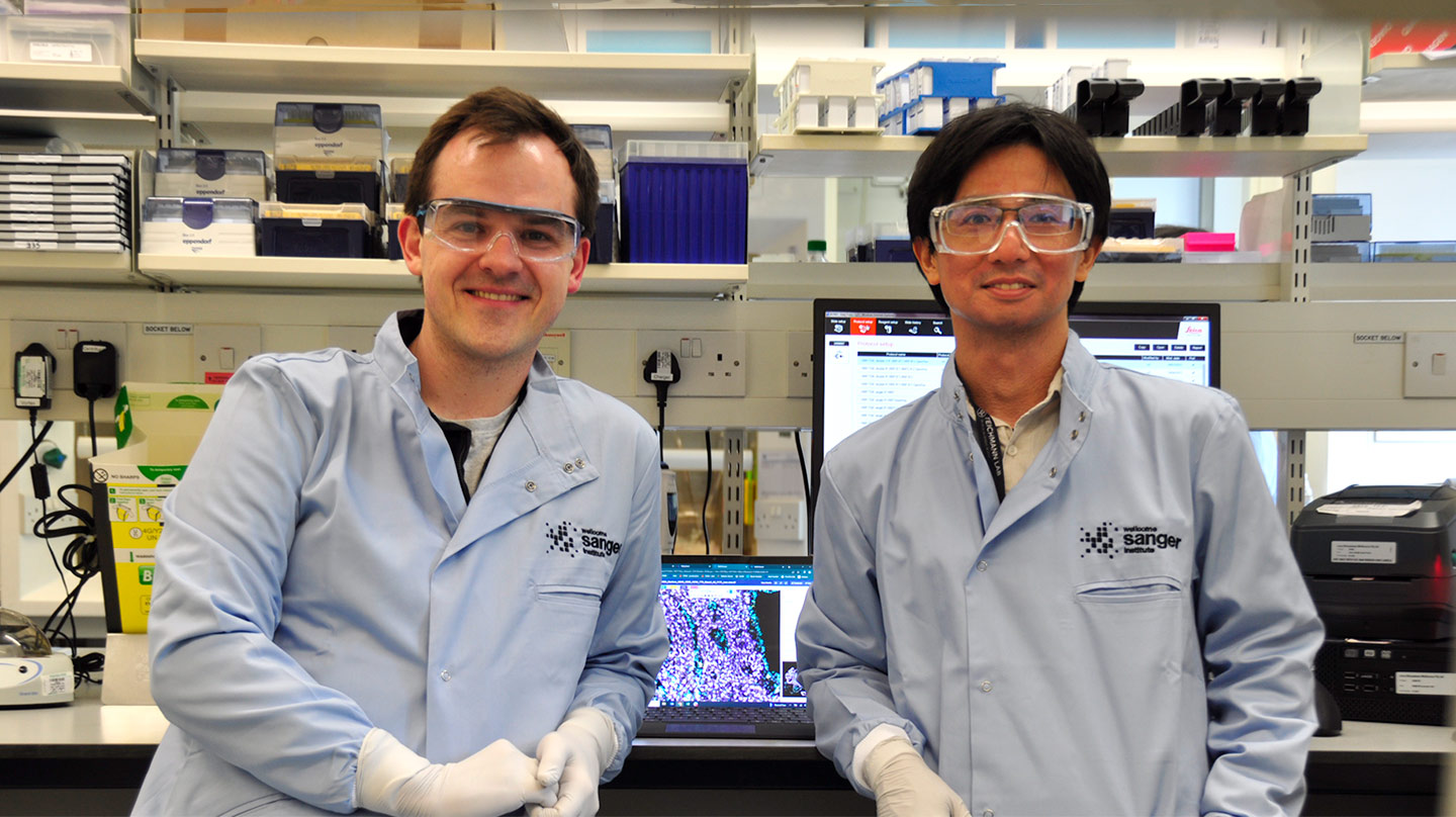 Behind the Heart Cell Atlas - Wellcome Sanger Institute Blog