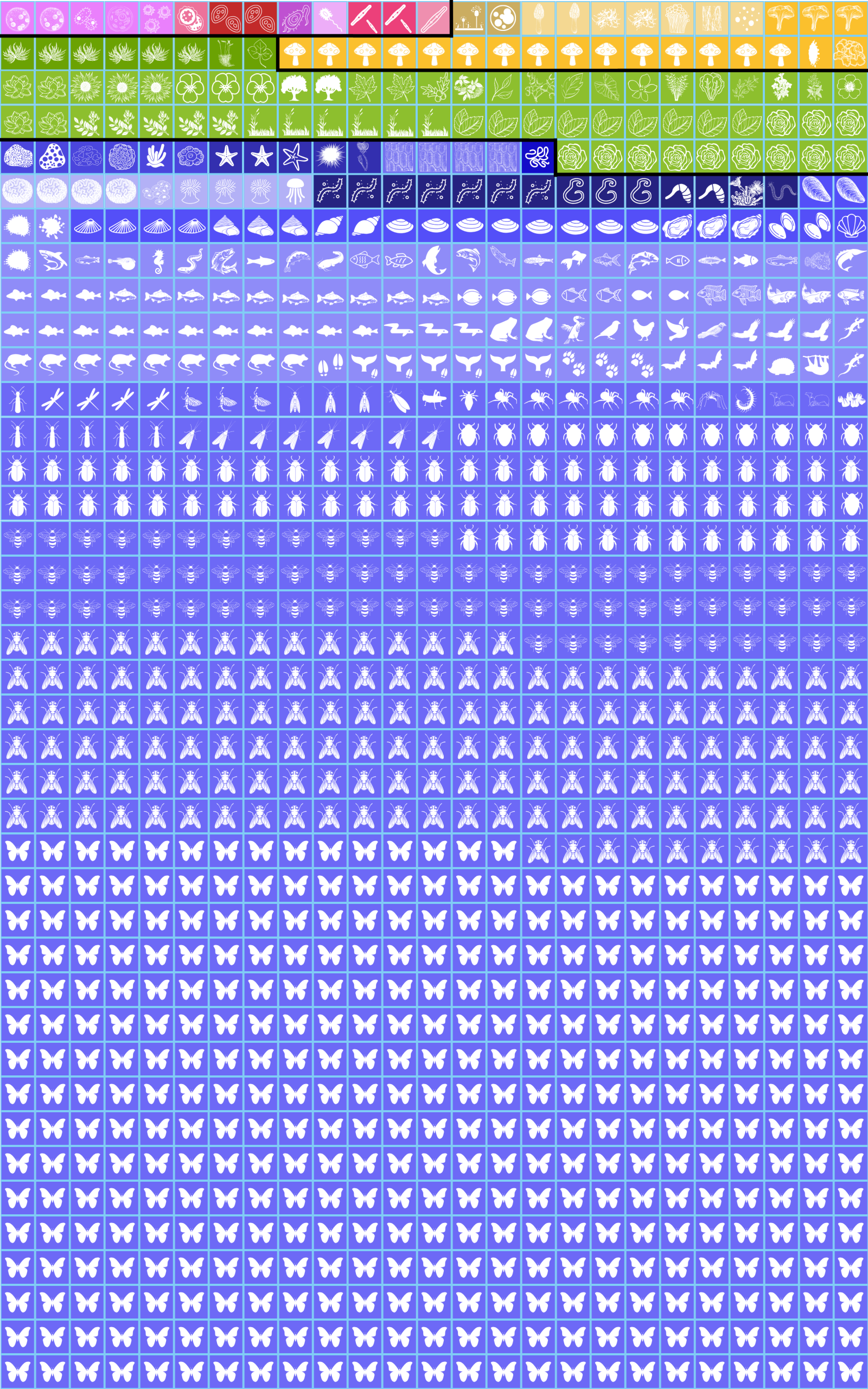 1,000 species get their genomes sequenced for the first time - Wellcome ...