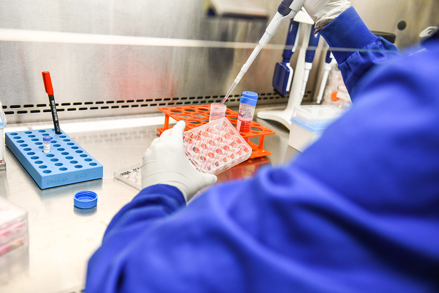 Giving science a new skin - Wellcome Sanger Institute Blog