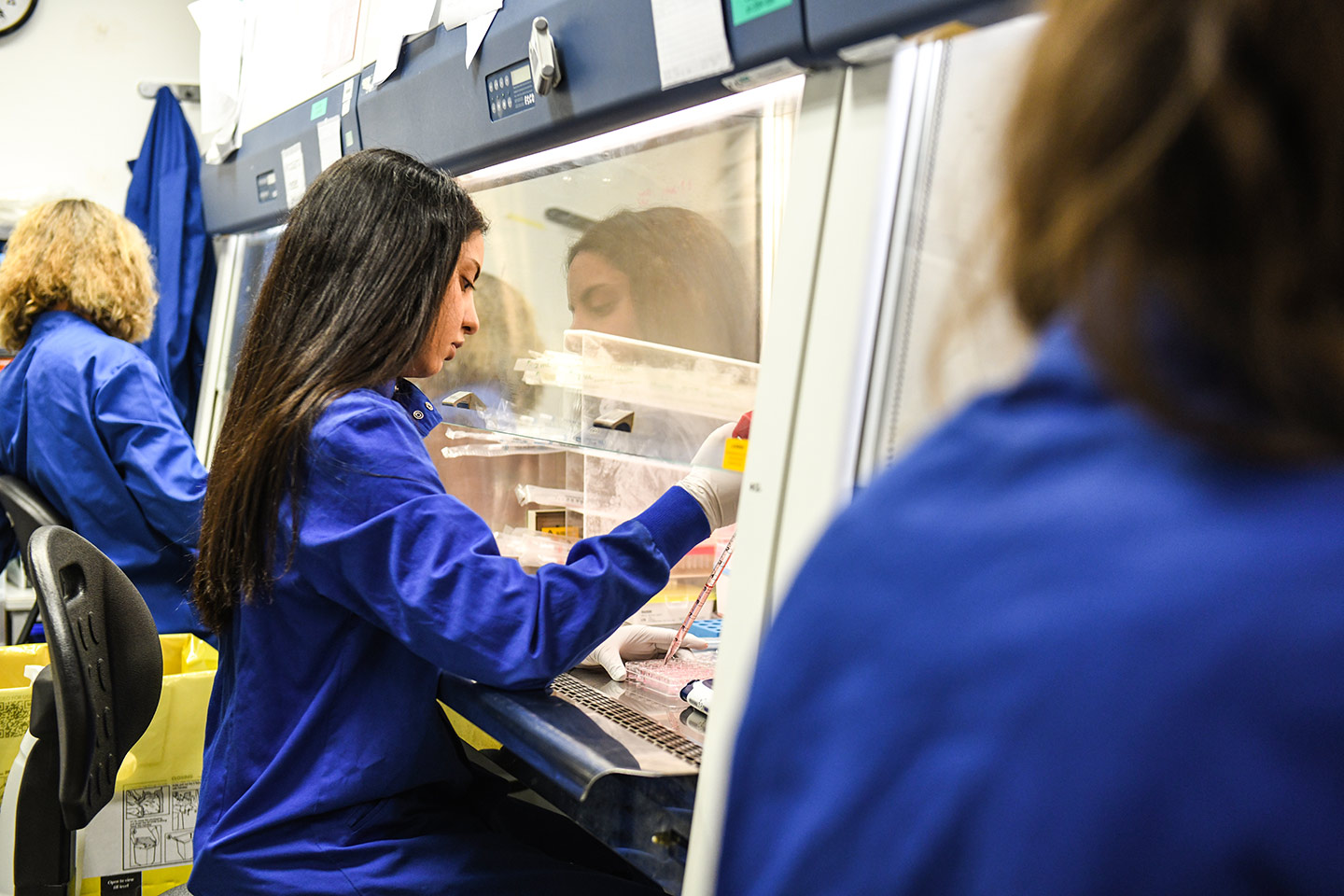 Giving science a new skin - Wellcome Sanger Institute Blog