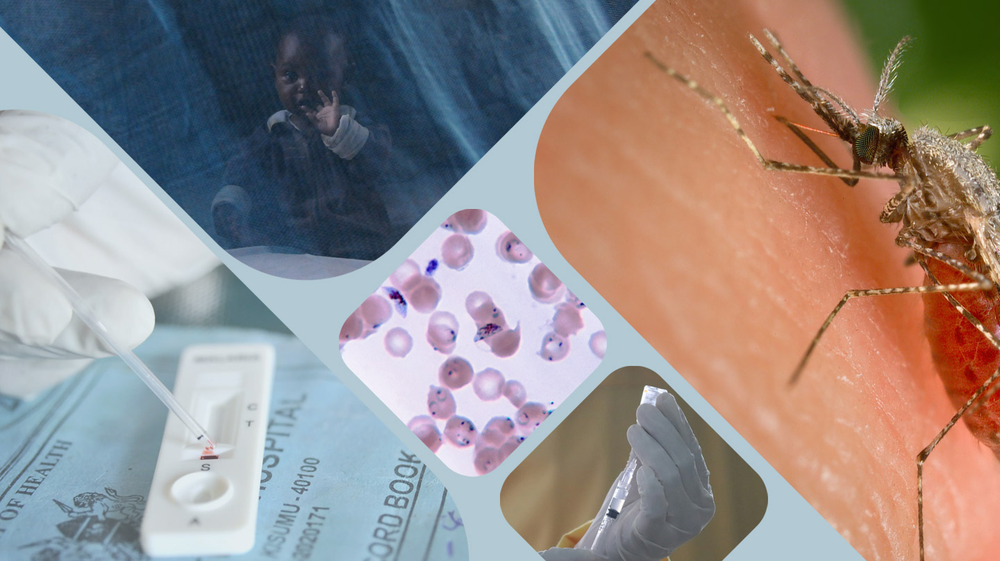 Five malaria challenges where genomic surveillance can make a ...