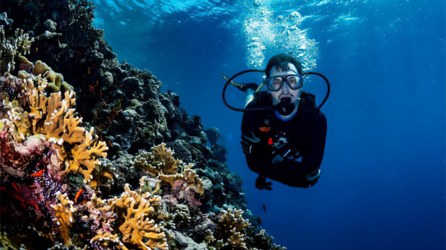 Coral genomes to combat bleaching - Wellcome Sanger Institute Blog
