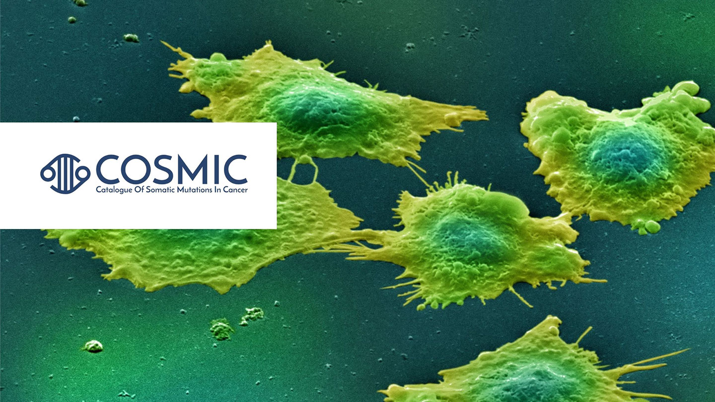 Microbiotica: CASE STUDY - Wellcome Sanger Institute Blog
