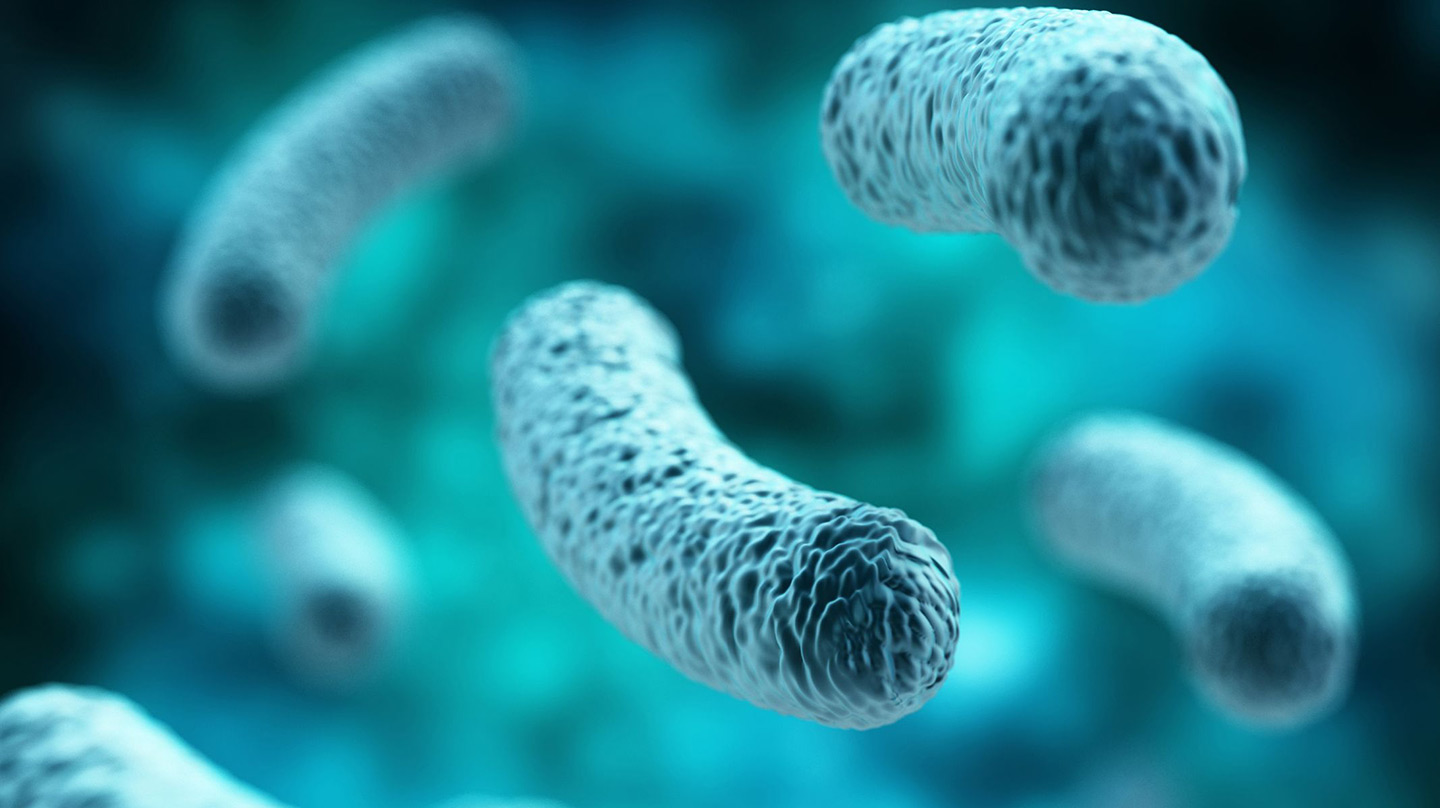 Microbiotica: CASE STUDY - Wellcome Sanger Institute Blog