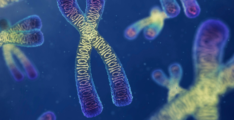 Kymab: CASE STUDY - Wellcome Sanger Institute Blog