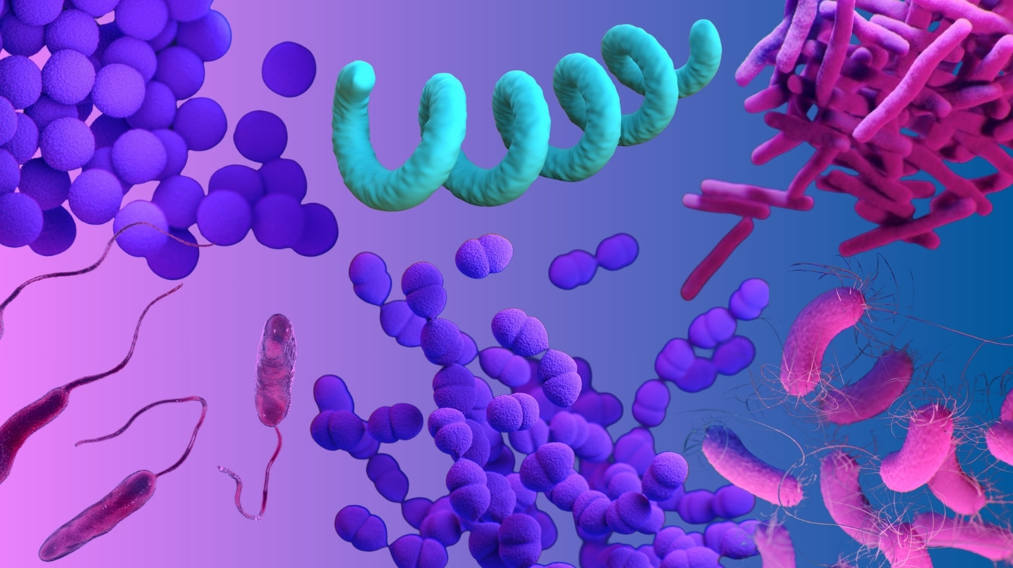 Ten ways the Sanger Institute is tackling the global fight against AMR - Wellcome Sanger ...