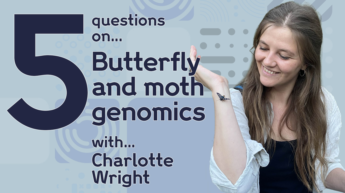 Five questions on butterfly and moth genomics with Charlotte Wright ...