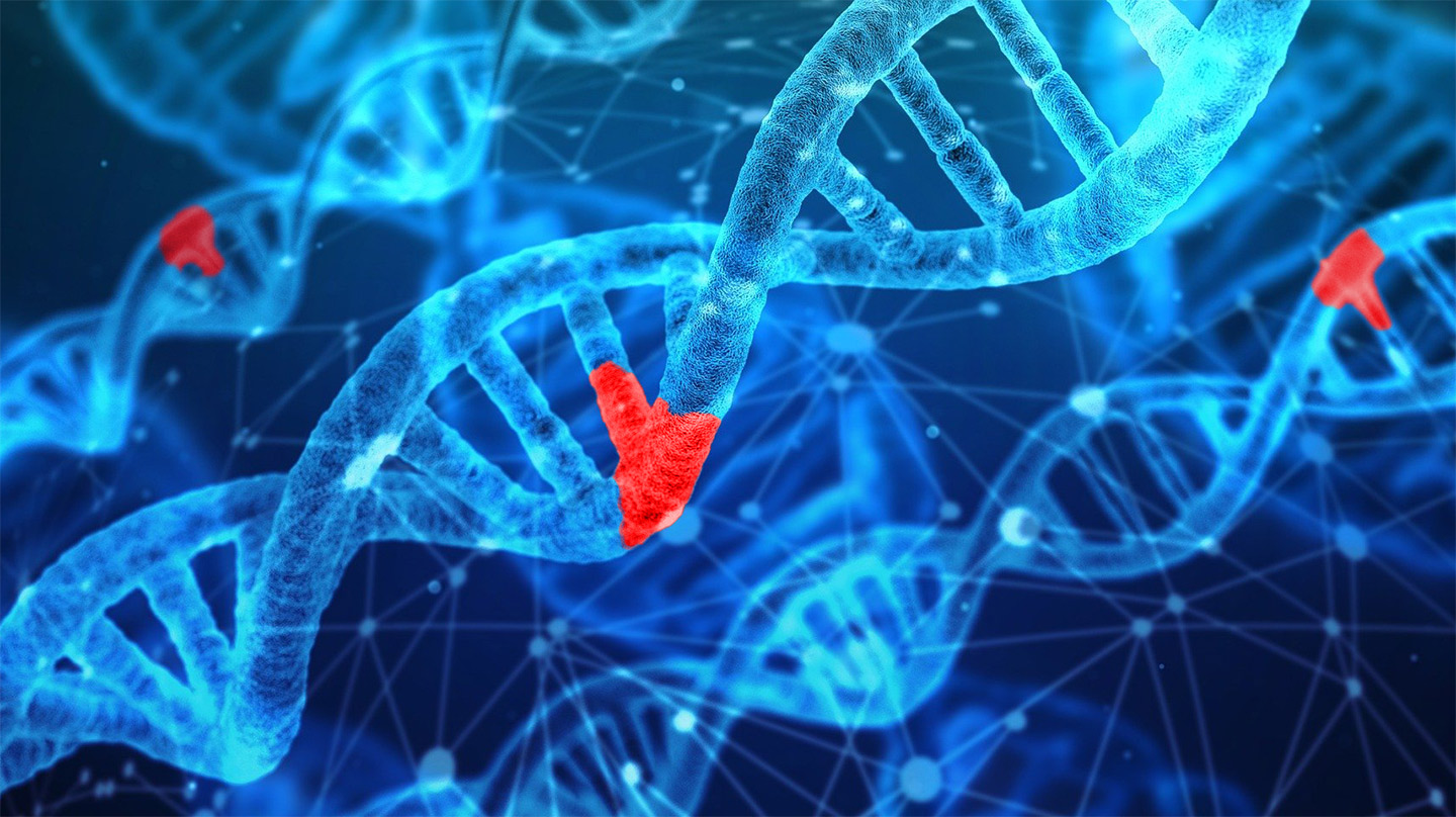 What are somatic mutations? - Wellcome Sanger Institute Blog